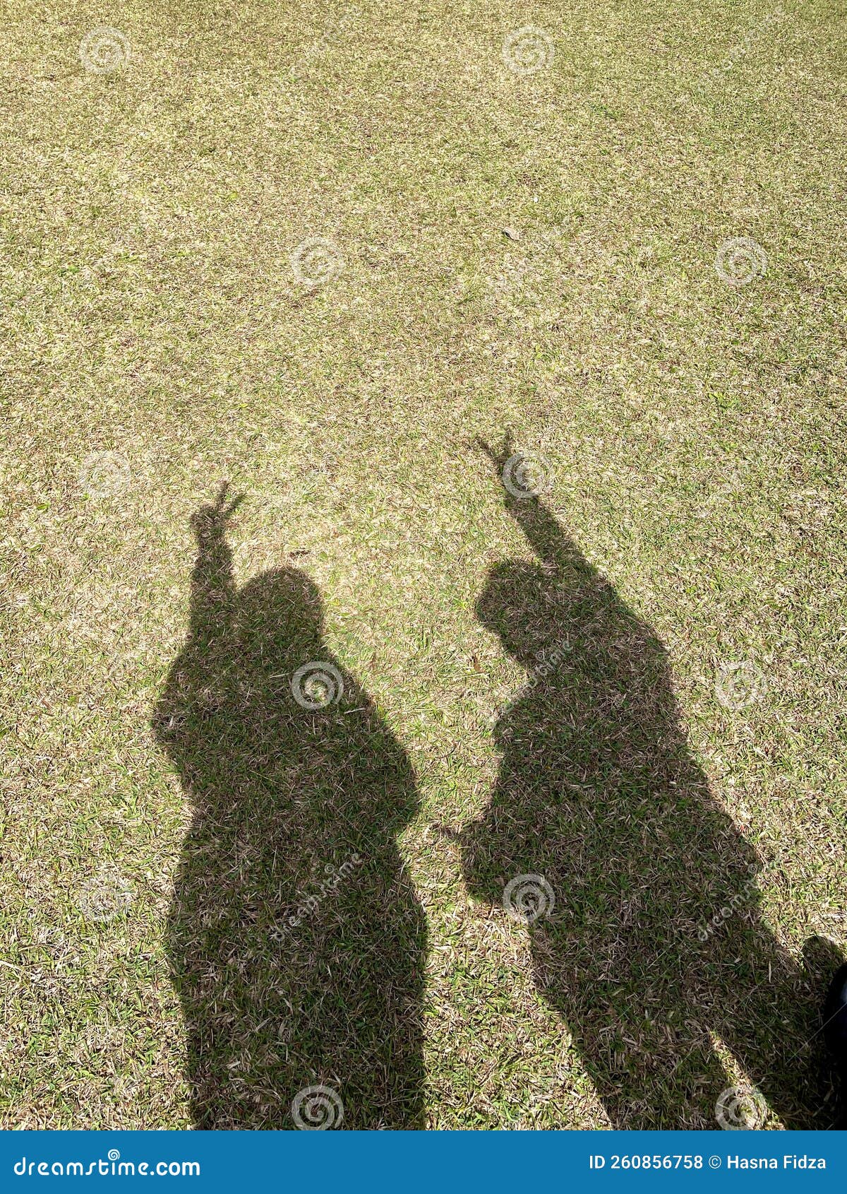 Self shadow stock photo. Image of zone, animal, self - 260856758