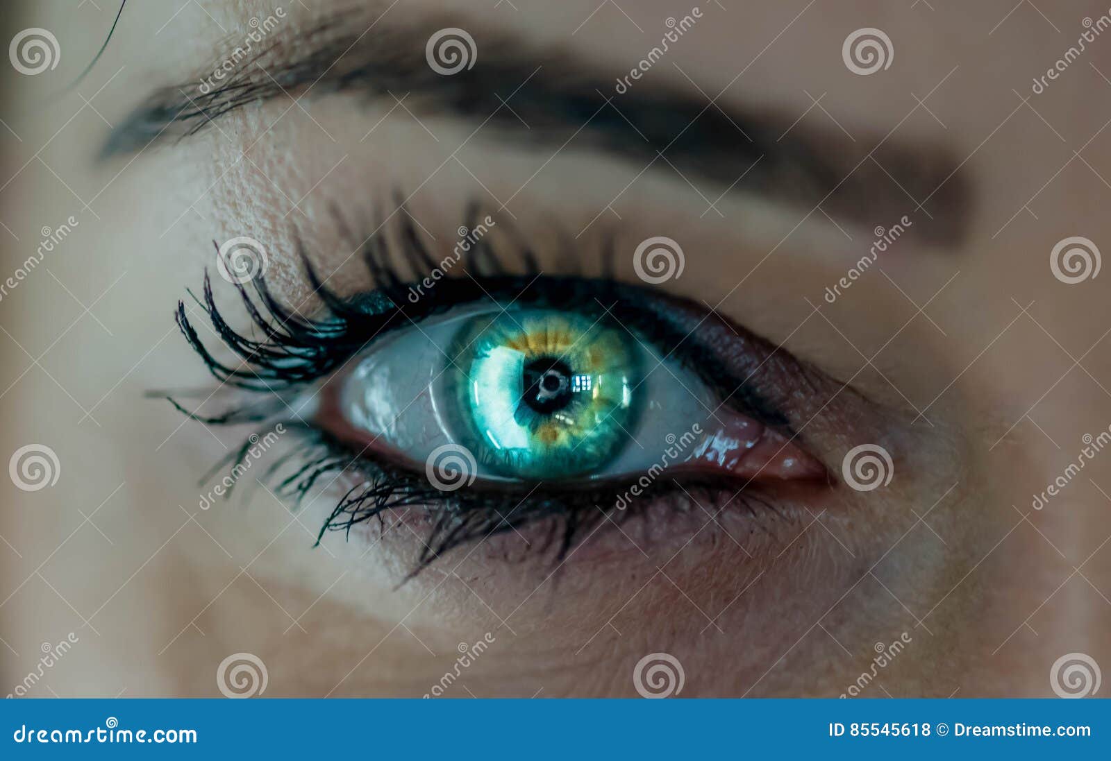 Selfie stock photo. Image of green, macro, single, selfie - 85545618