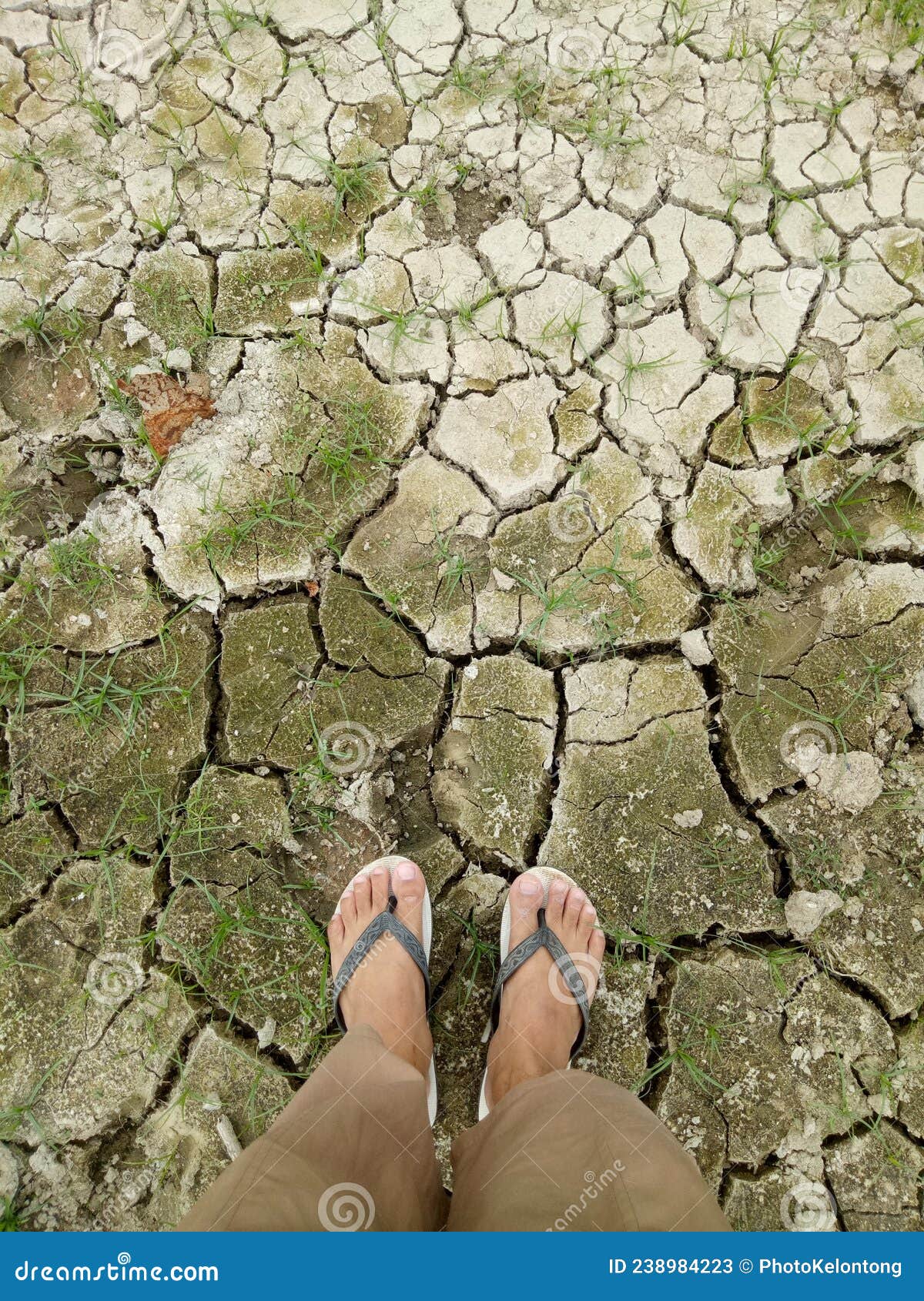 Selfie of Feet on the Cracked Ground. Cracked Soil Texture Stock Image ...