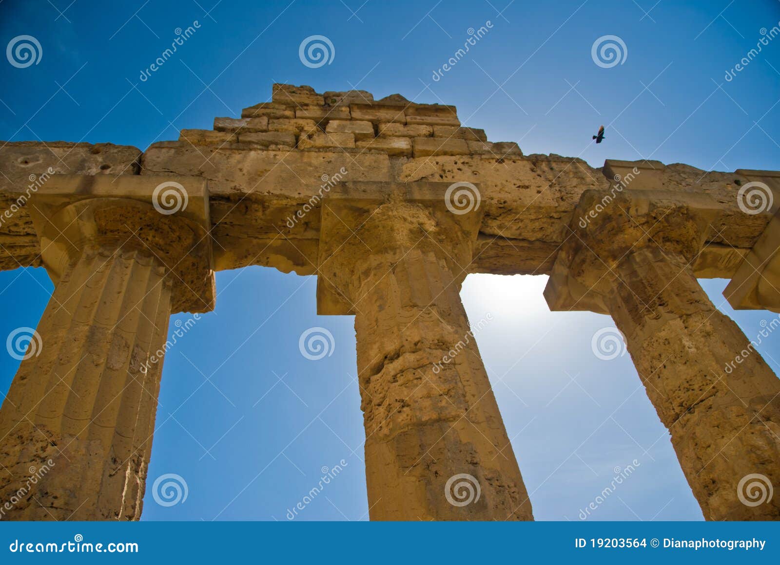 Selinunte Columns with Flying Bird Stock Photo - Image of flying ...