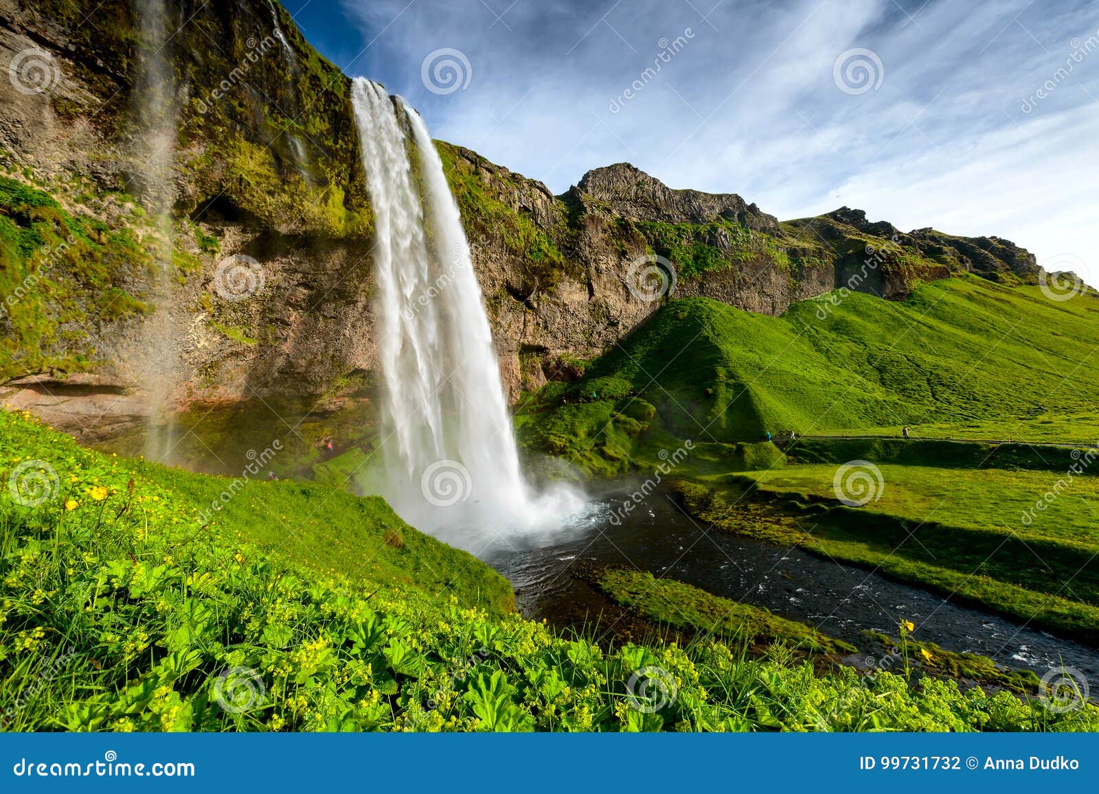 Seljalandsfoss One of the Most Famous Icelandic Waterfall Stock Photo ...