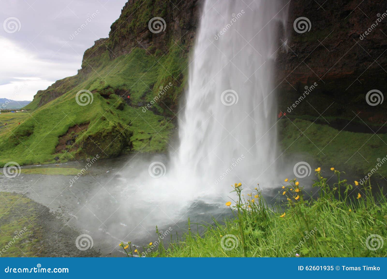 Seljalandsfoss Waterfall, Island Stock Image - Image of tree, iceland ...