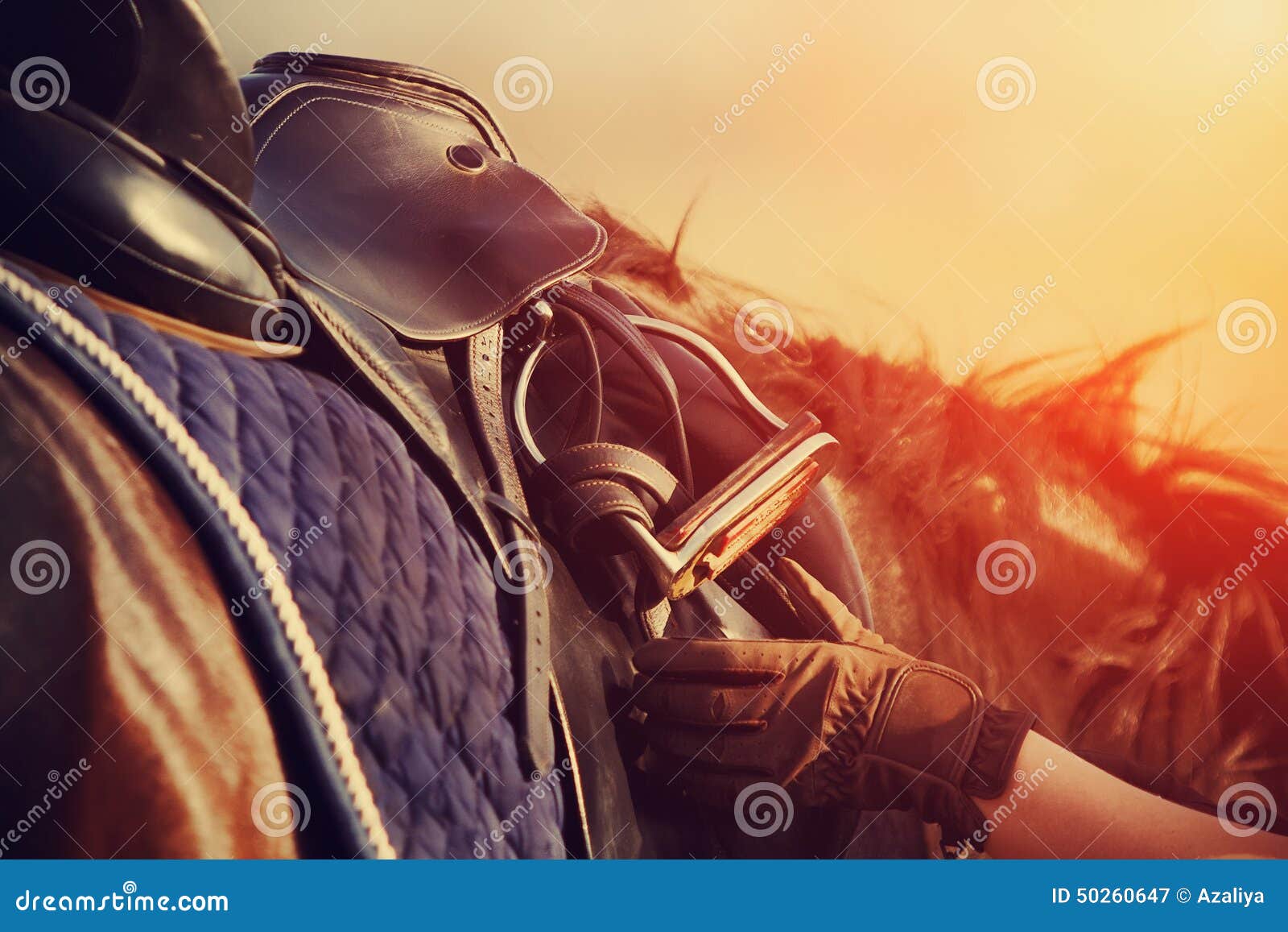 Sella con le staffe immagine stock. Immagine di puro - 50260647