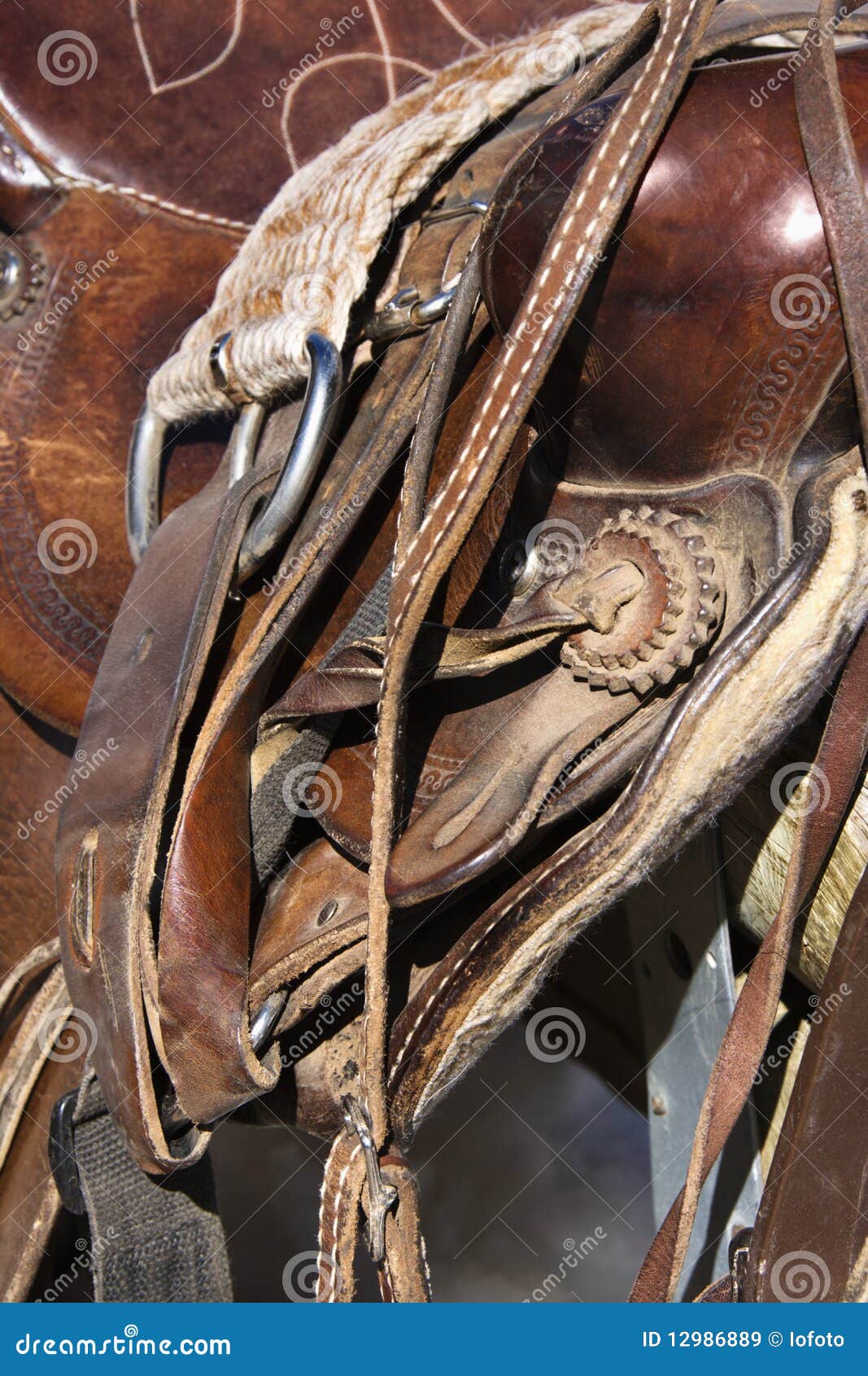 Sella Del Cavallo Su Una Guida Immagine Stock - Immagine di cinghia ...