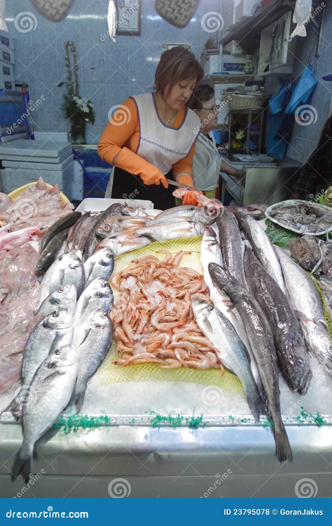 Seller at fish market editorial stock photo. Image of animal - 23795078
