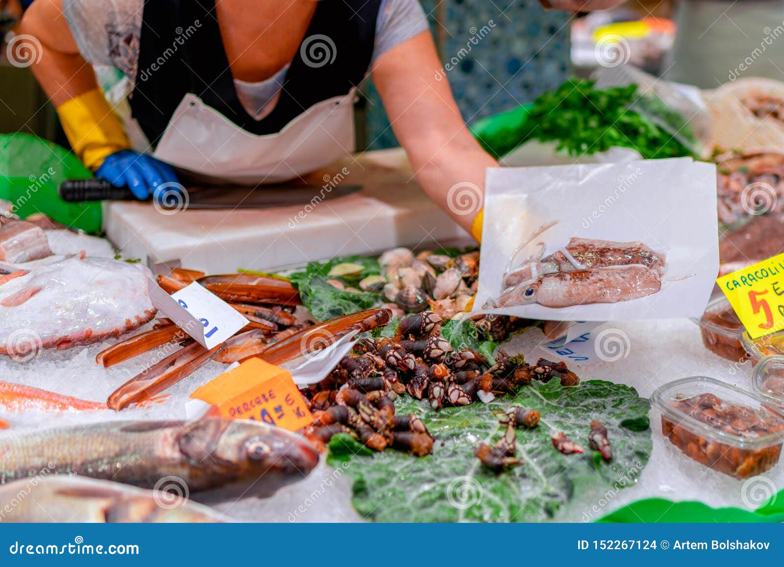 The Seller in the Fish Market Offers Fresh Squid To the Customer ... The Seller in the Fish Market Offers Fresh Squid To the Customer ...