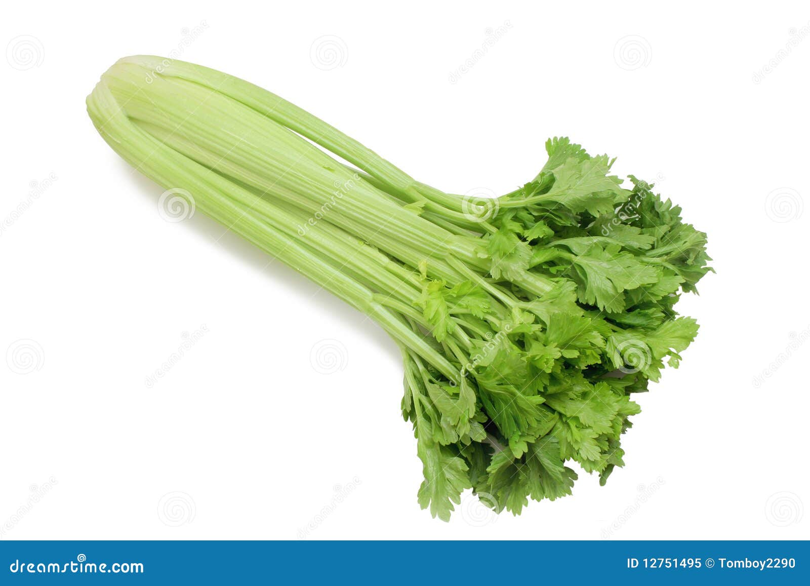 Selleri fotografering för bildbyråer. Bild av sallad - 12751495