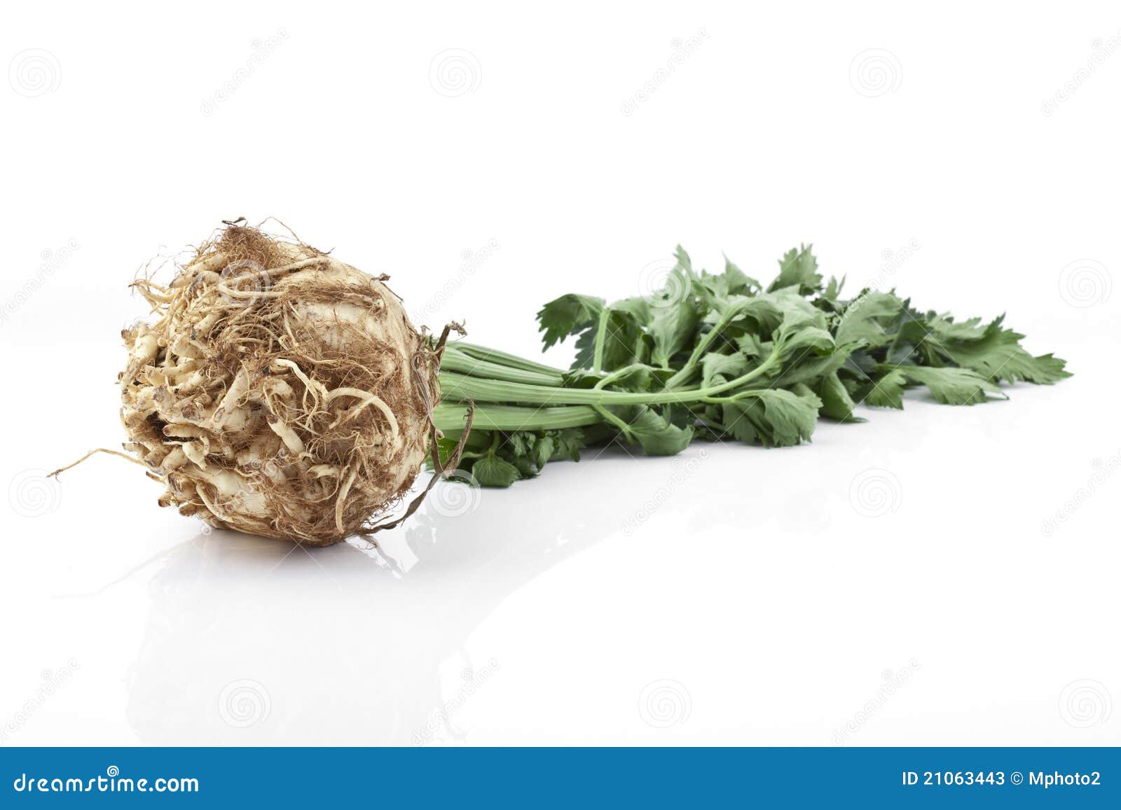Selleri fotografering för bildbyråer. Bild av selleri - 21063443
