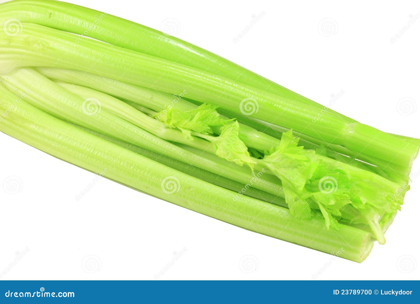 Selleri arkivfoto. Bild av färg, selleri, banta, livsstil - 23789700