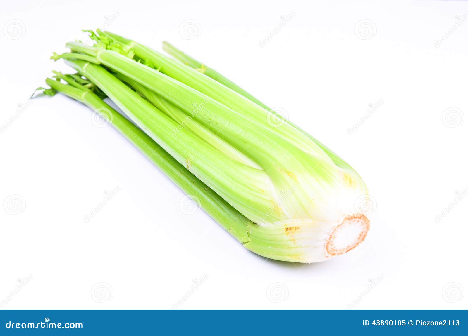 Selleri fotografering för bildbyråer. Bild av natur, sunt - 43890105