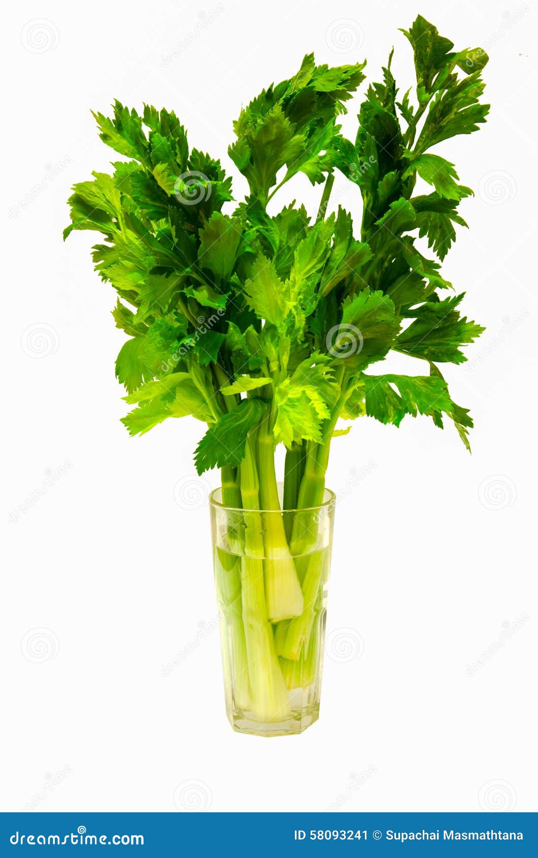 Sellerie im Glas stockbild. Bild von vorstand, betrieb - 58093241