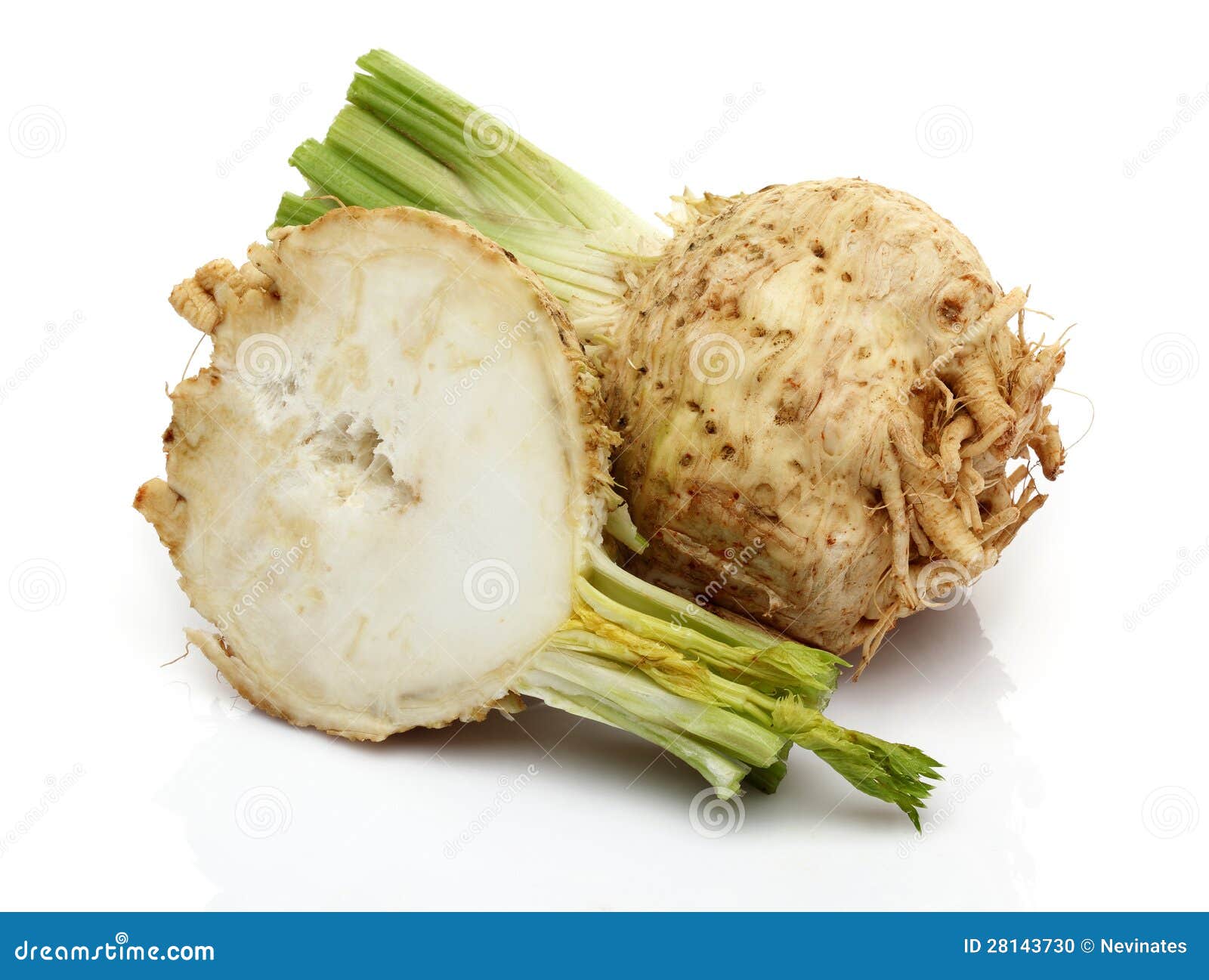 Sellerie zwei stockfoto. Bild von blatt, frech, biologie - 28143730