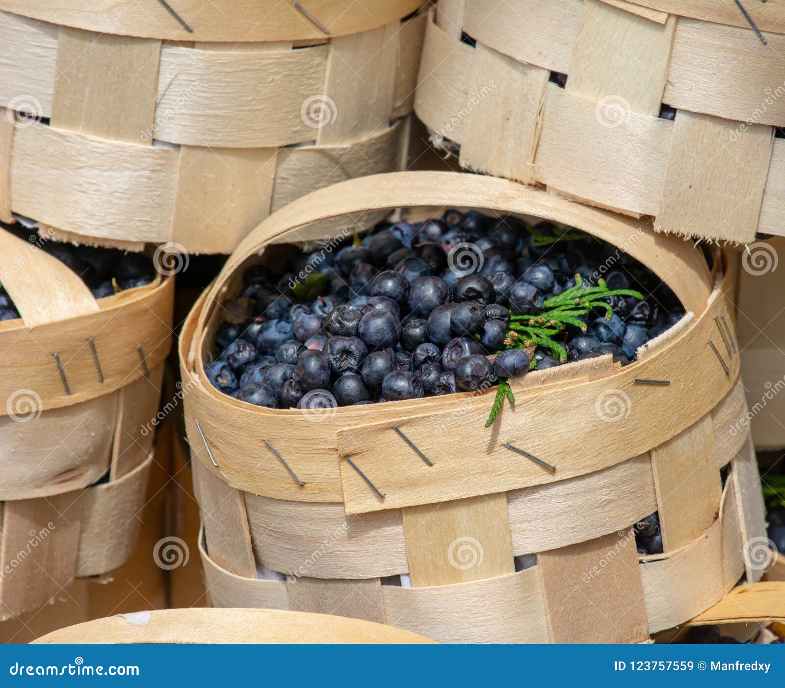 Selling Blueberries at the Market Stock Image - Image of fresh, selling ...