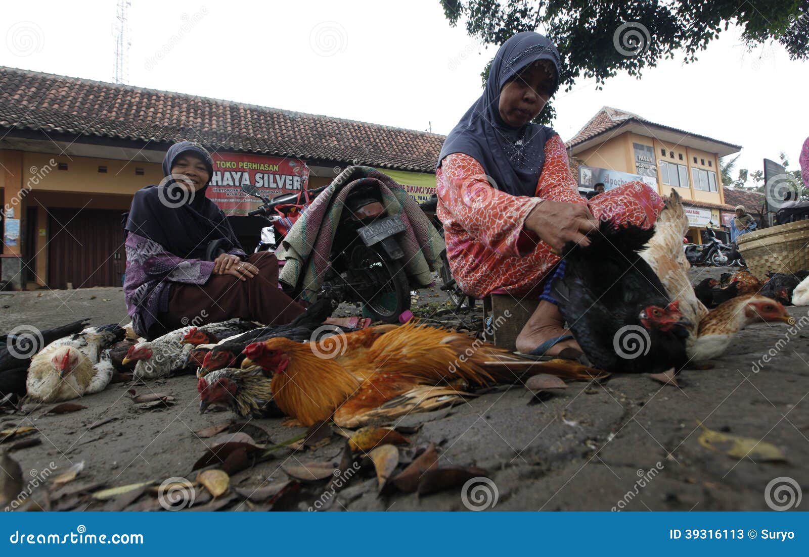 Selling chicken editorial stock photo. Image of trader - 39316113