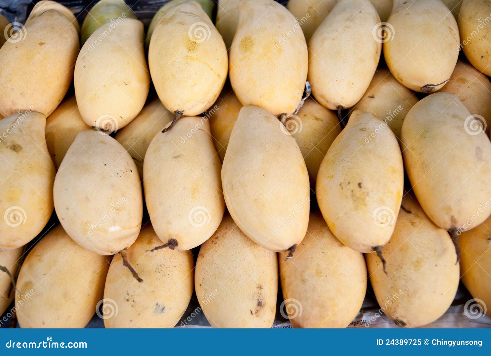 Selling mango in market stock image. Image of retail - 24389725