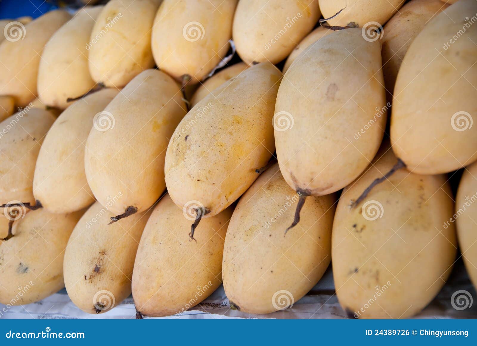 Selling mango in market stock photo. Image of gourmet - 24389726