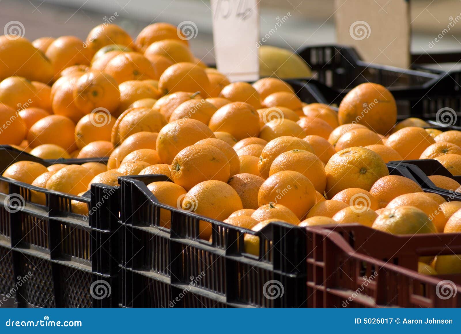 Selling Oranges stock image. Image of colors, photograph - 5026017