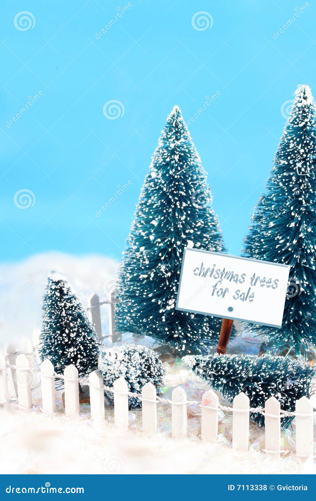 Selling trees stock photo. Image of postcard, backyard - 7113338