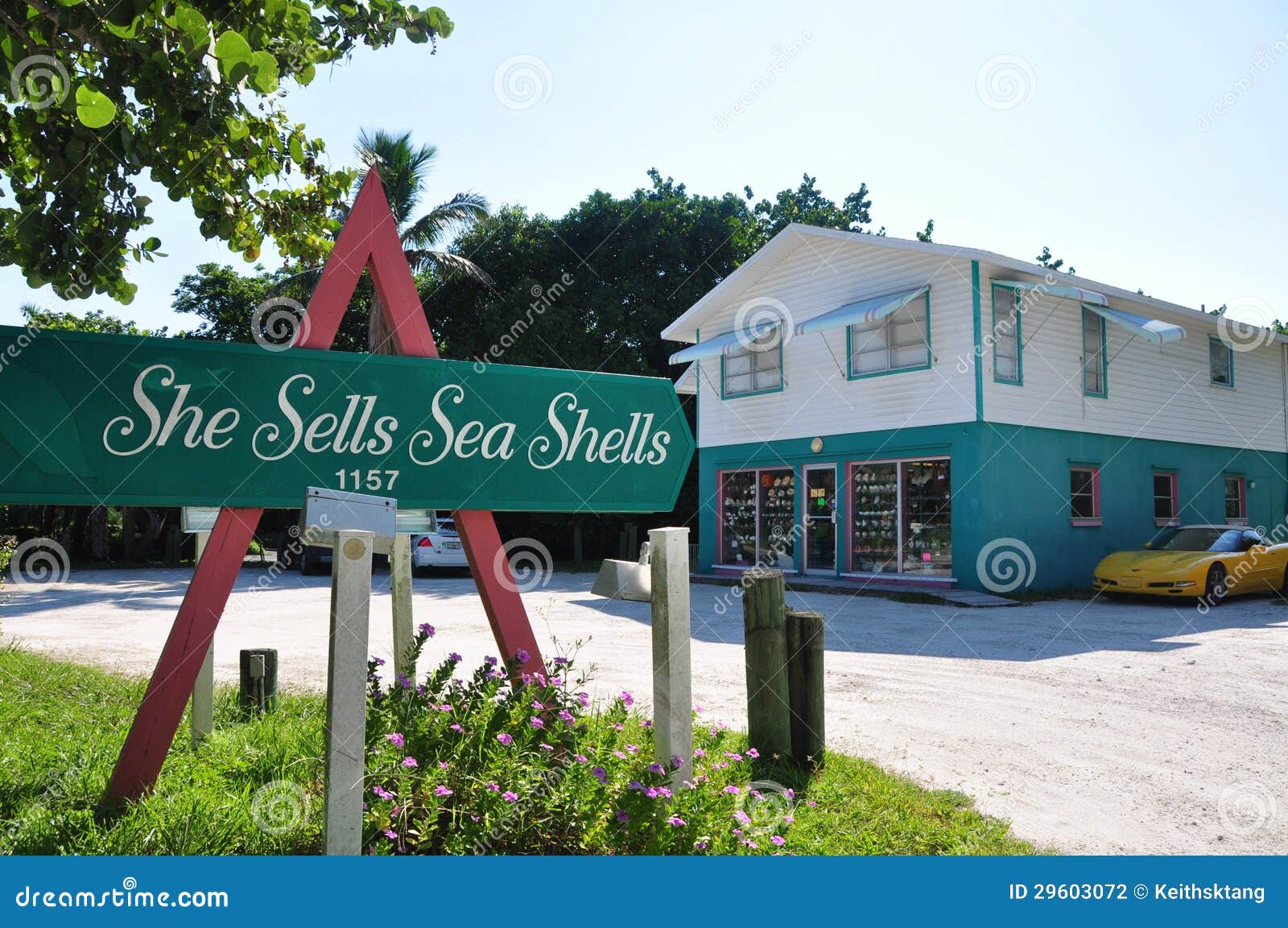 She sells sea shells stock photo. Image of beach, seashore - 29603072