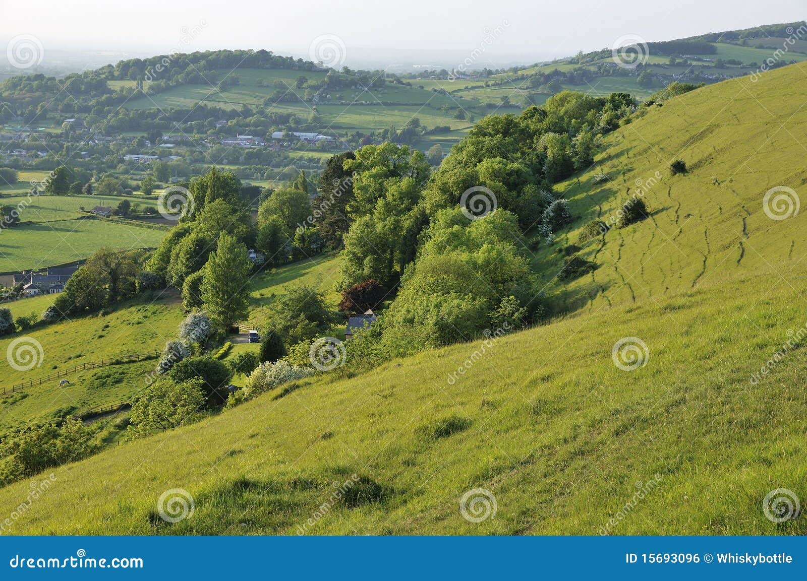 Selsley Common & Doverow Hill Stock Photo - Image of agricultural ...