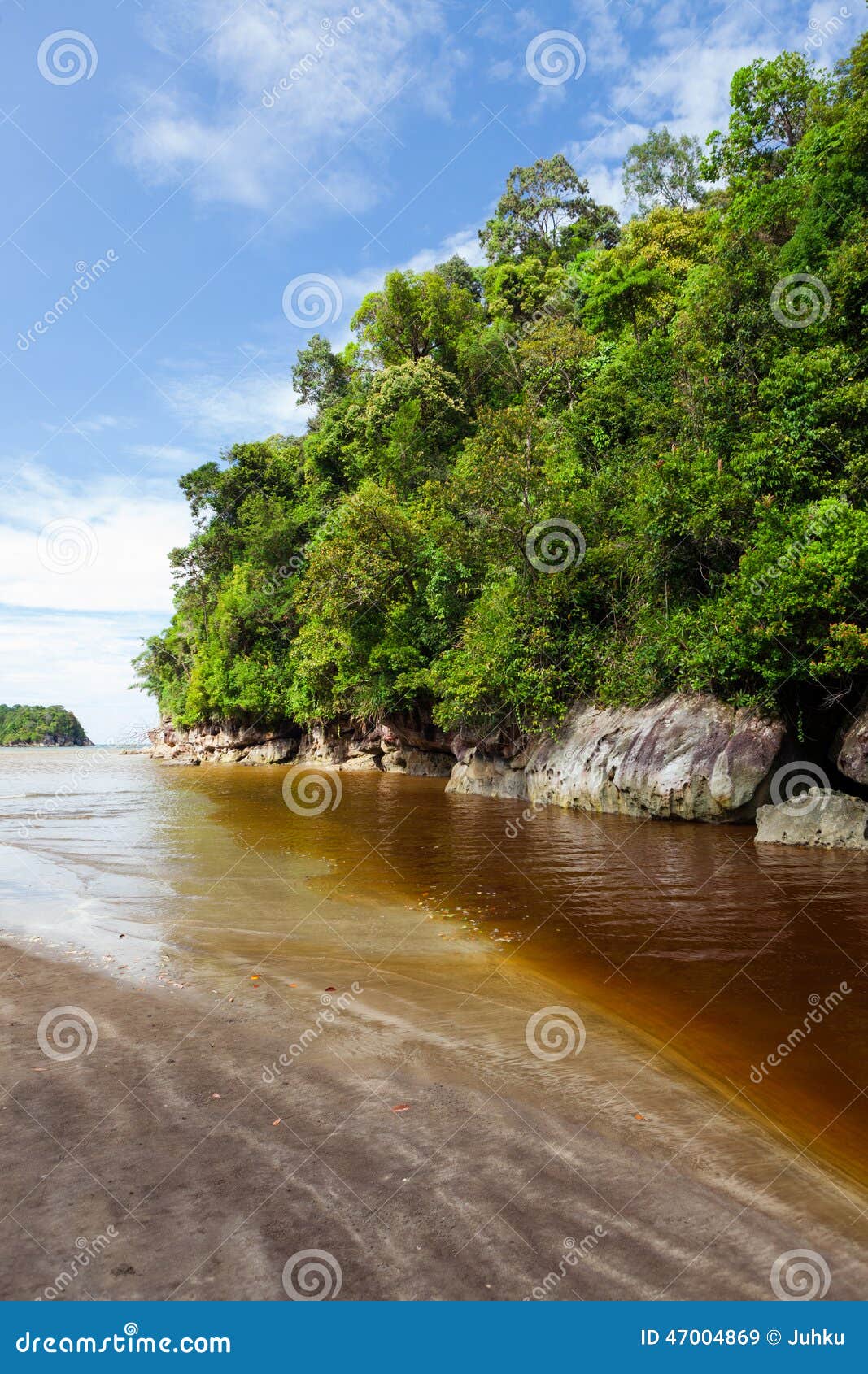 Selva densa y cielo azul imagen de archivo. Imagen de verde - 47004869