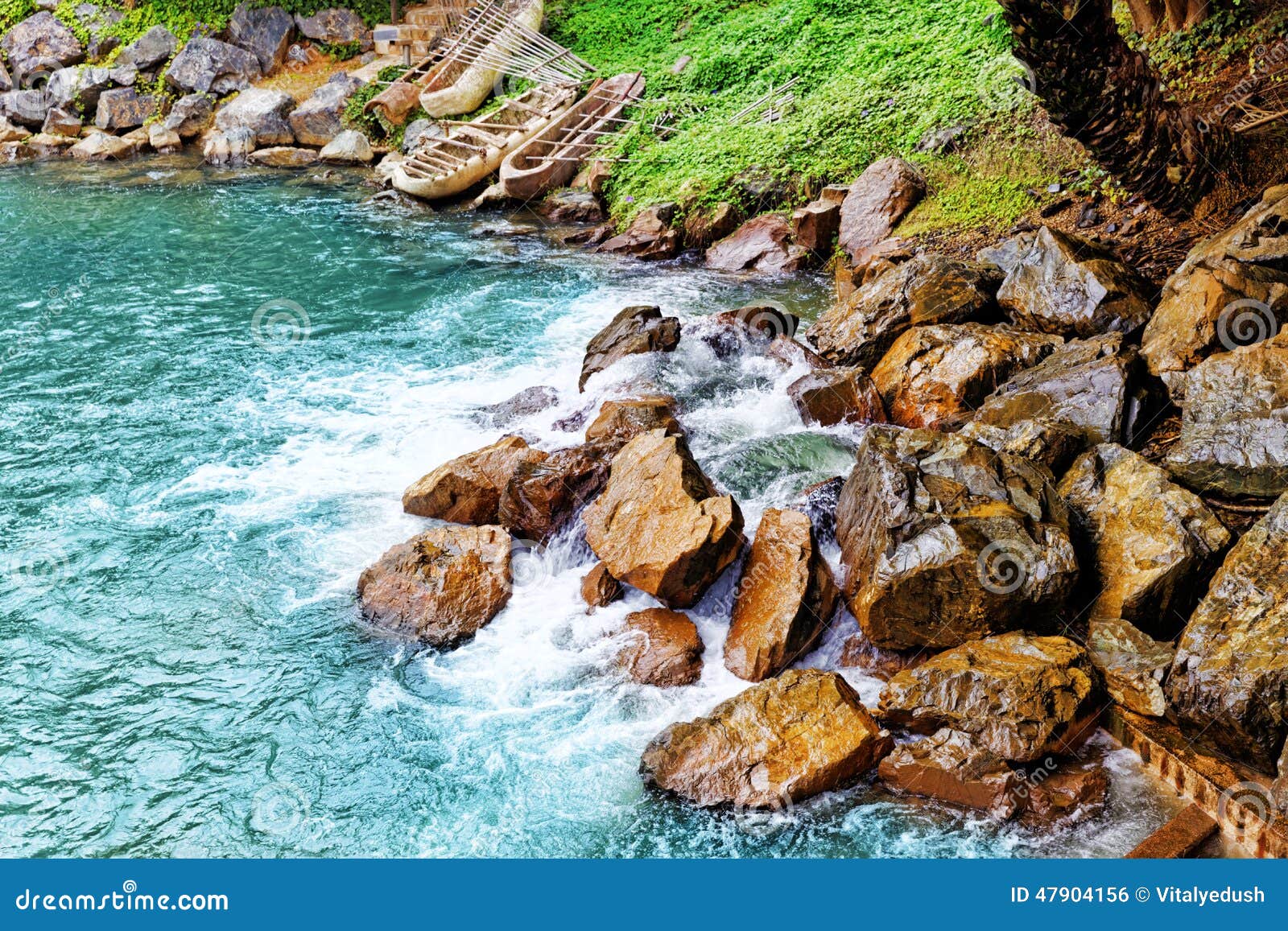 Selva tropical húmeda foto de archivo. Imagen de rota - 47904156