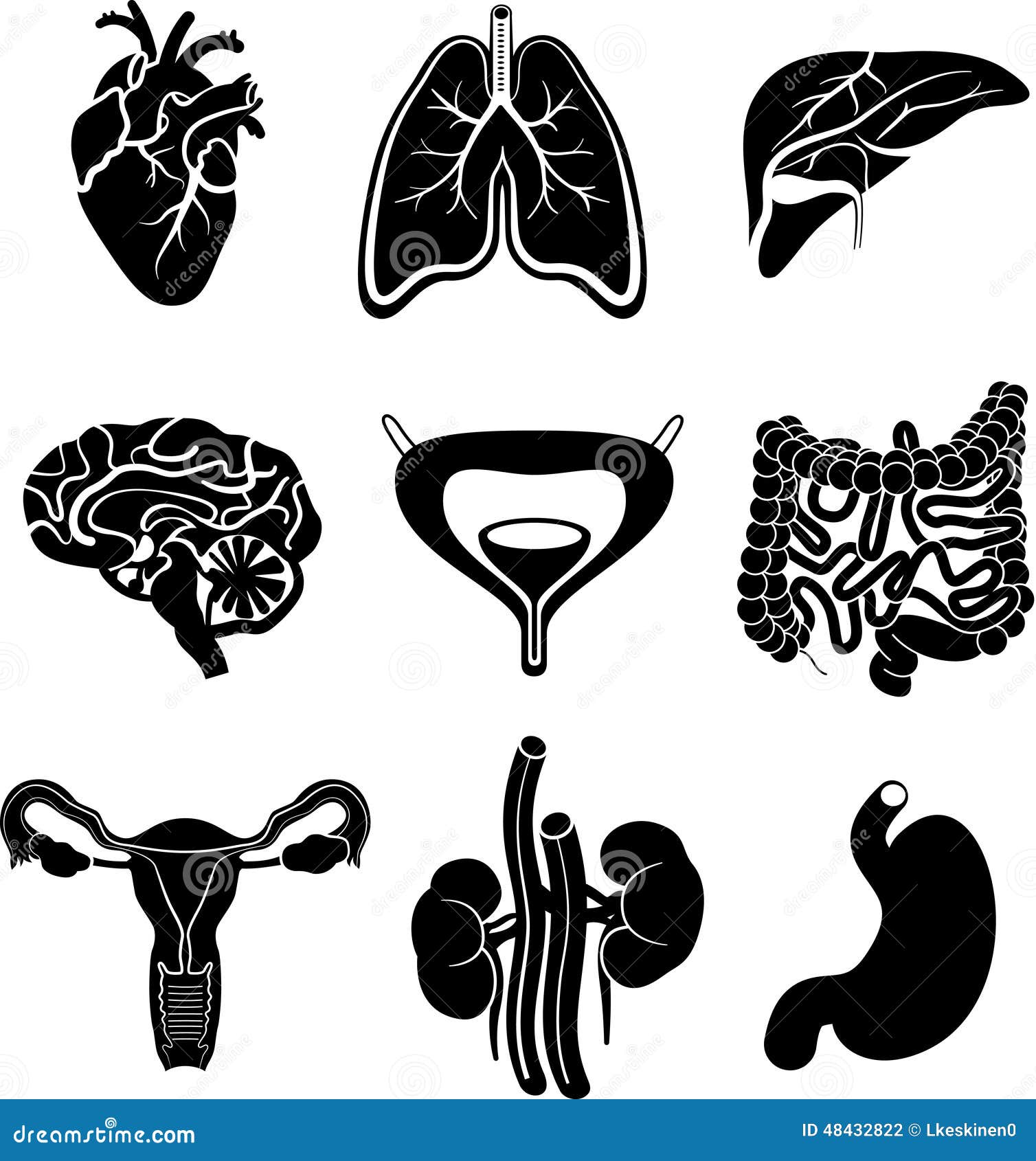 Sembri Il Corpo Umano Interno Illustrazione di Stock - Illustrazione di ...