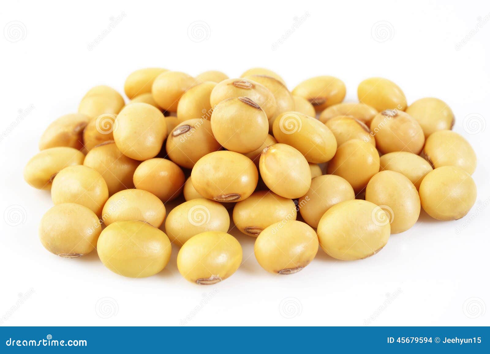 Seme della soia fotografia stock. Immagine di nutrizione - 45679594