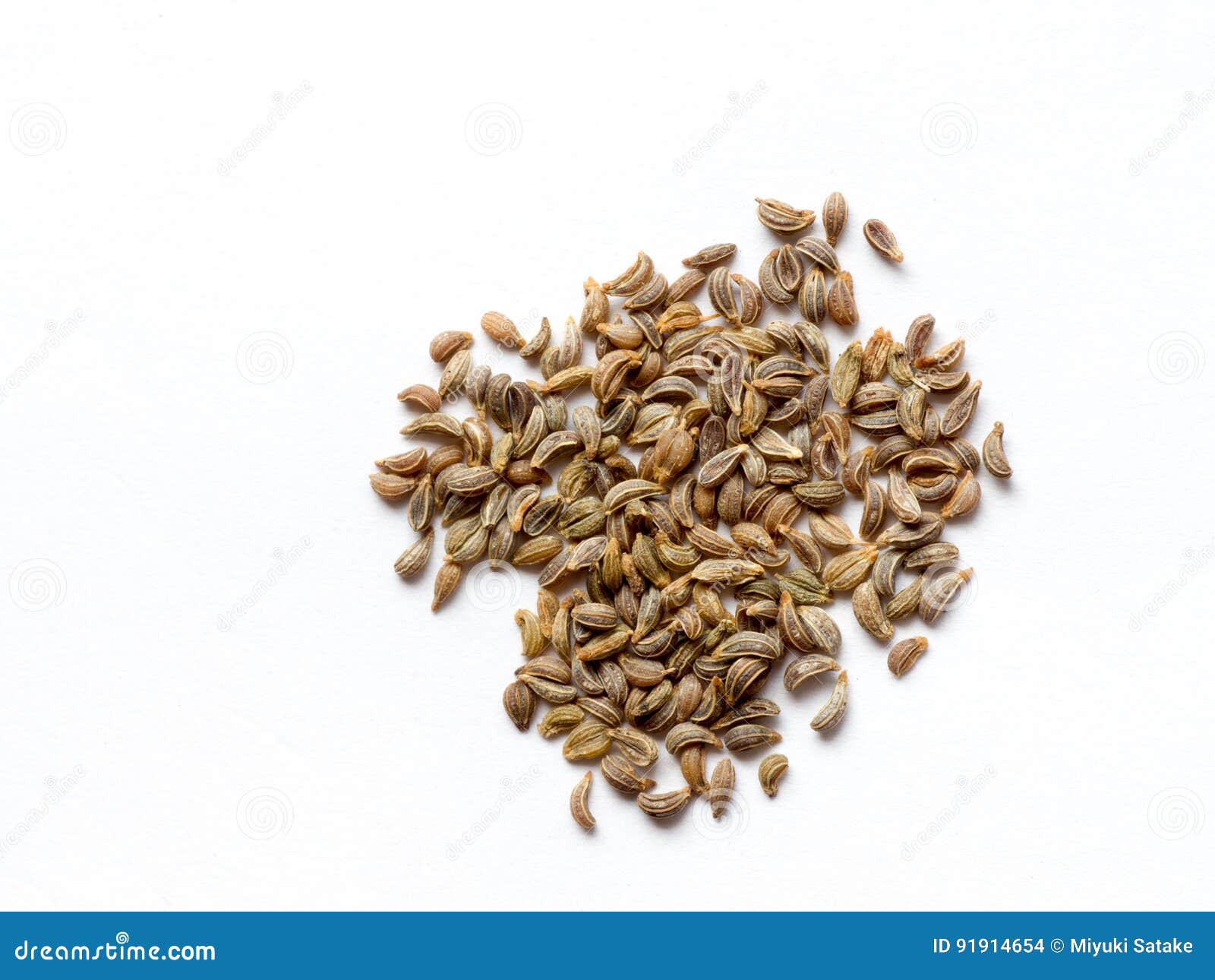 imagens de stock Semente Da Salsa - Baixe 2,041 Royalty Free