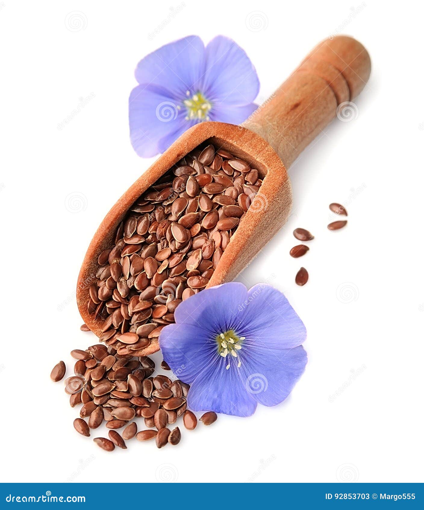 Semente De Linho E Close Up Das Flores Do Linho Imagem de Stock ...