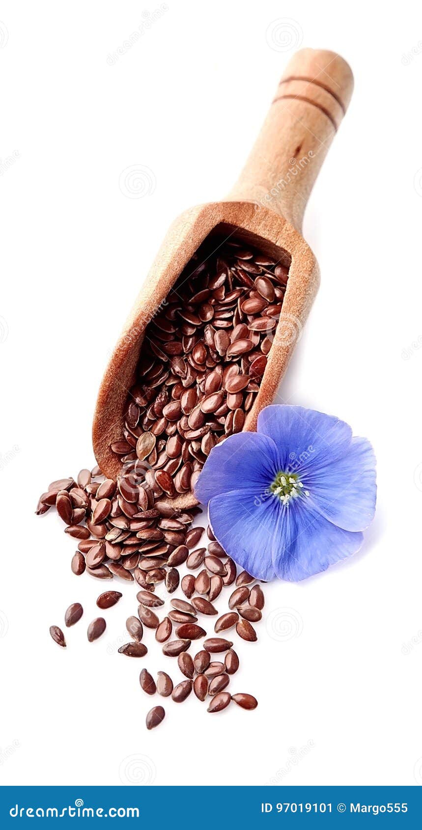 Semente De Linho E Flores Do Linho Imagem de Stock - Imagem de ...