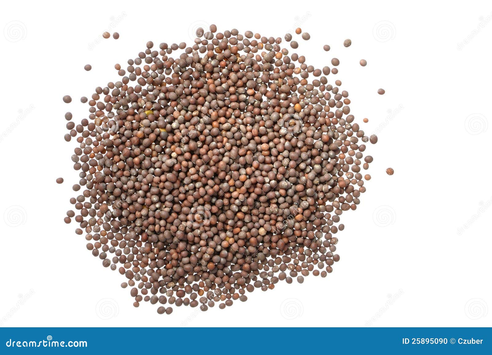 Semente de mostarda foto de stock. Imagem de ingrediente - 25895090
