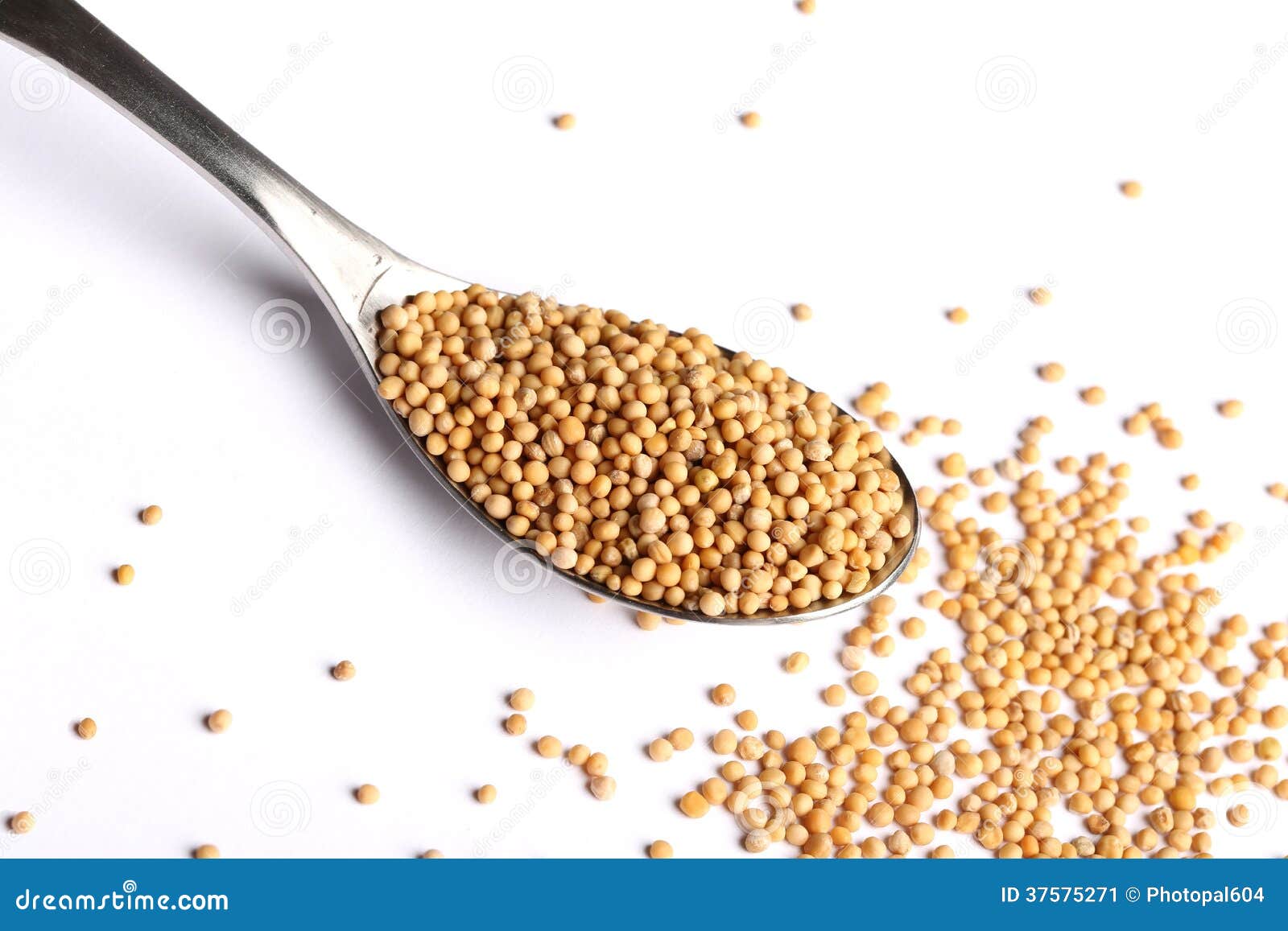 Semente De Mostarda Inteira Imagem de Stock - Imagem de condimentos ...