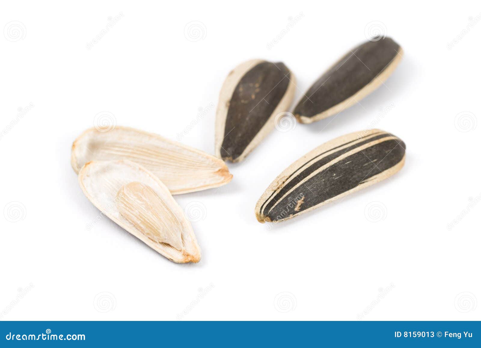 Semente do girassol imagem de stock. Imagem de comer, fundo - 8159013