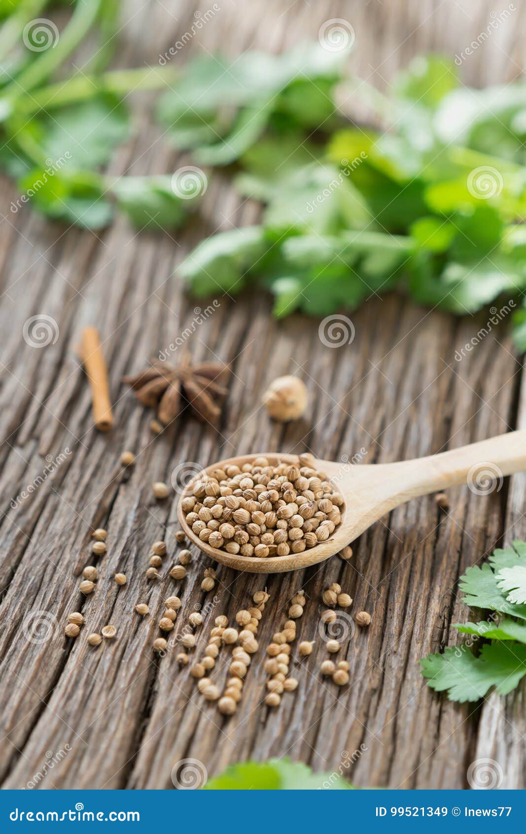 Semente E Folha De Coentro No Fundo De Madeira Imagem de Stock - Imagem ...