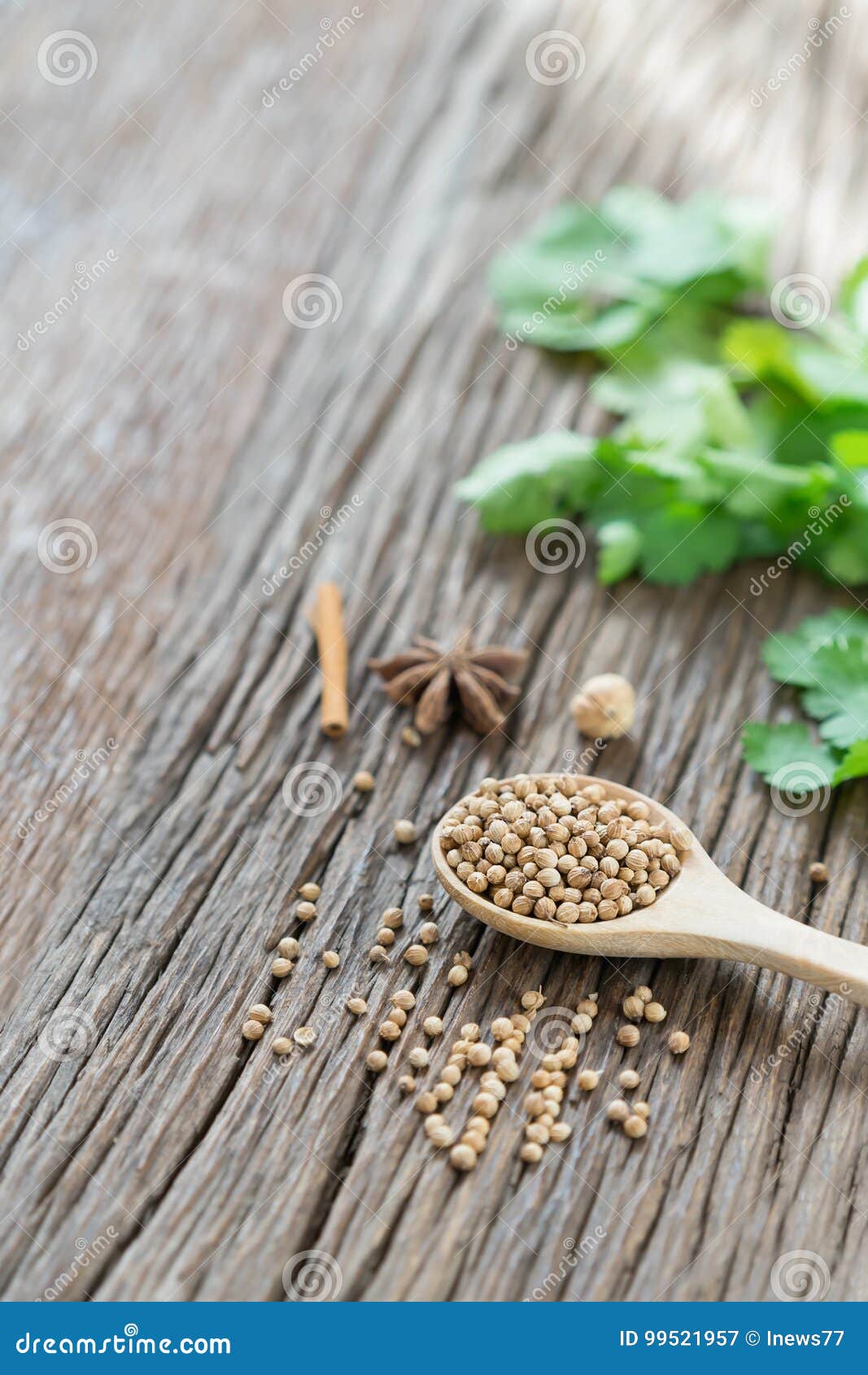 Semente E Folha De Coentro No Fundo De Madeira Imagem de Stock - Imagem ...