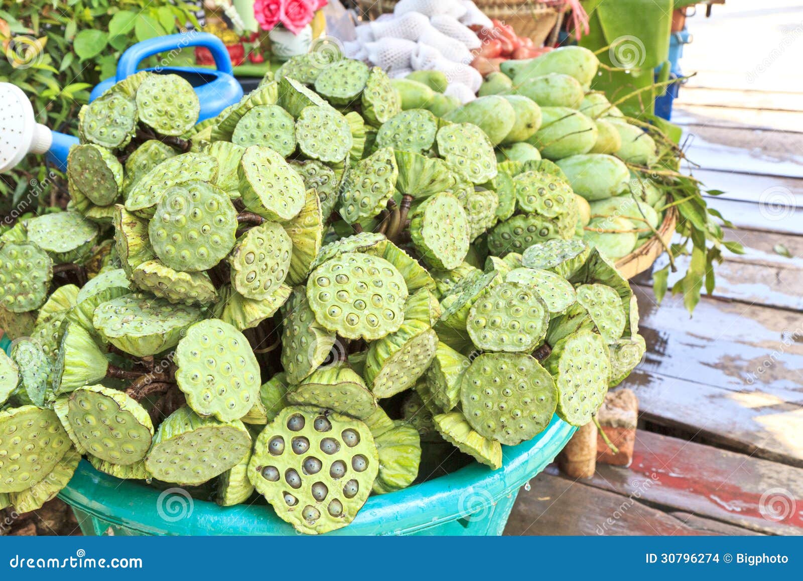 Sementes de Lotus foto de stock. Imagem de bonito, flora - 30796274