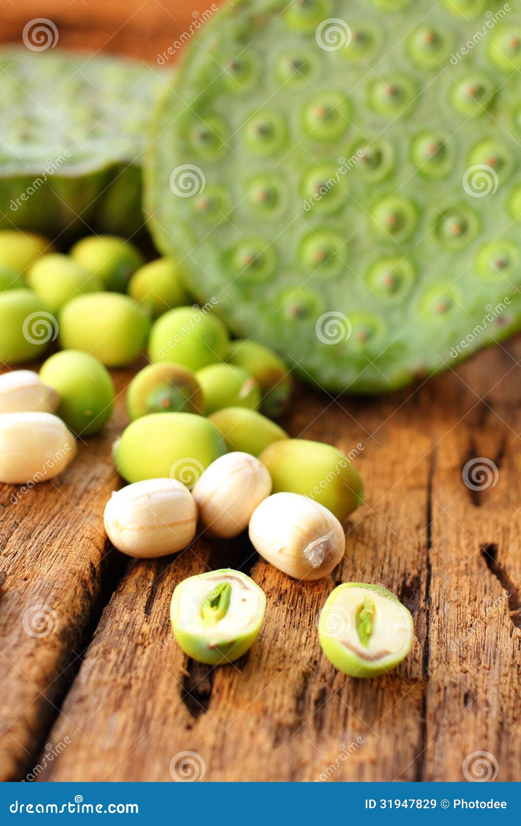 Sementes de Lotus imagem de stock. Imagem de leste, frescor - 31947829