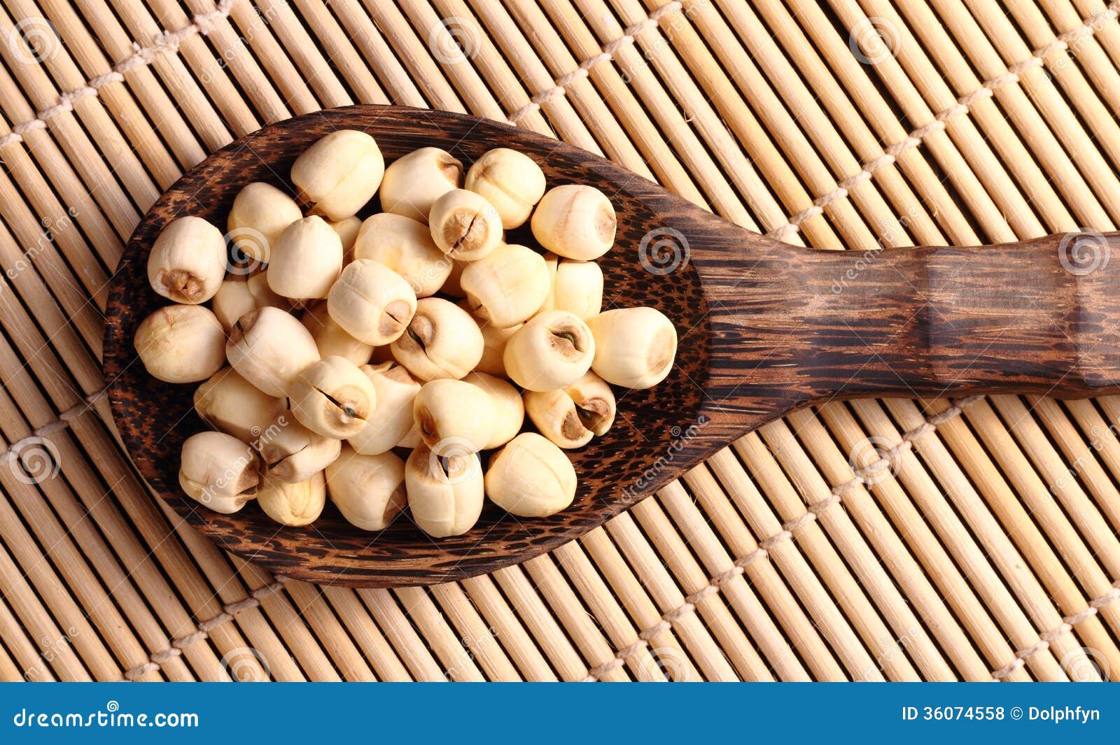 Sementes de Lotus foto de stock. Imagem de alimento, medicina - 36074558