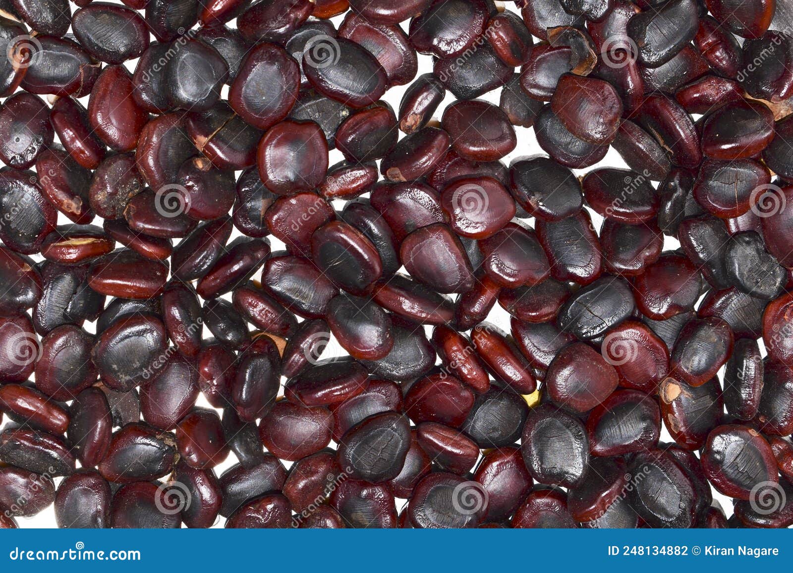 Sementes de samarind secas foto de stock. Imagem de doce - 248134882