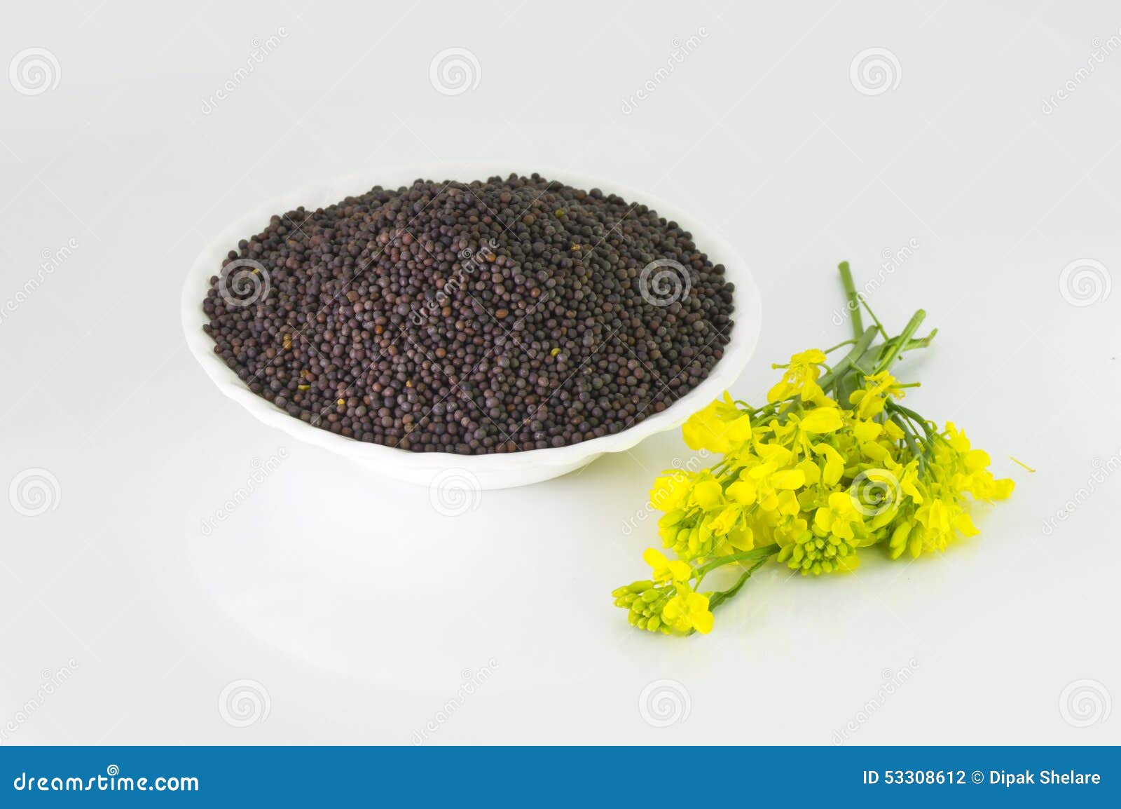 Semi Della Senape Nera E Fiore Della Senape Fotografia Stock - Immagine ...