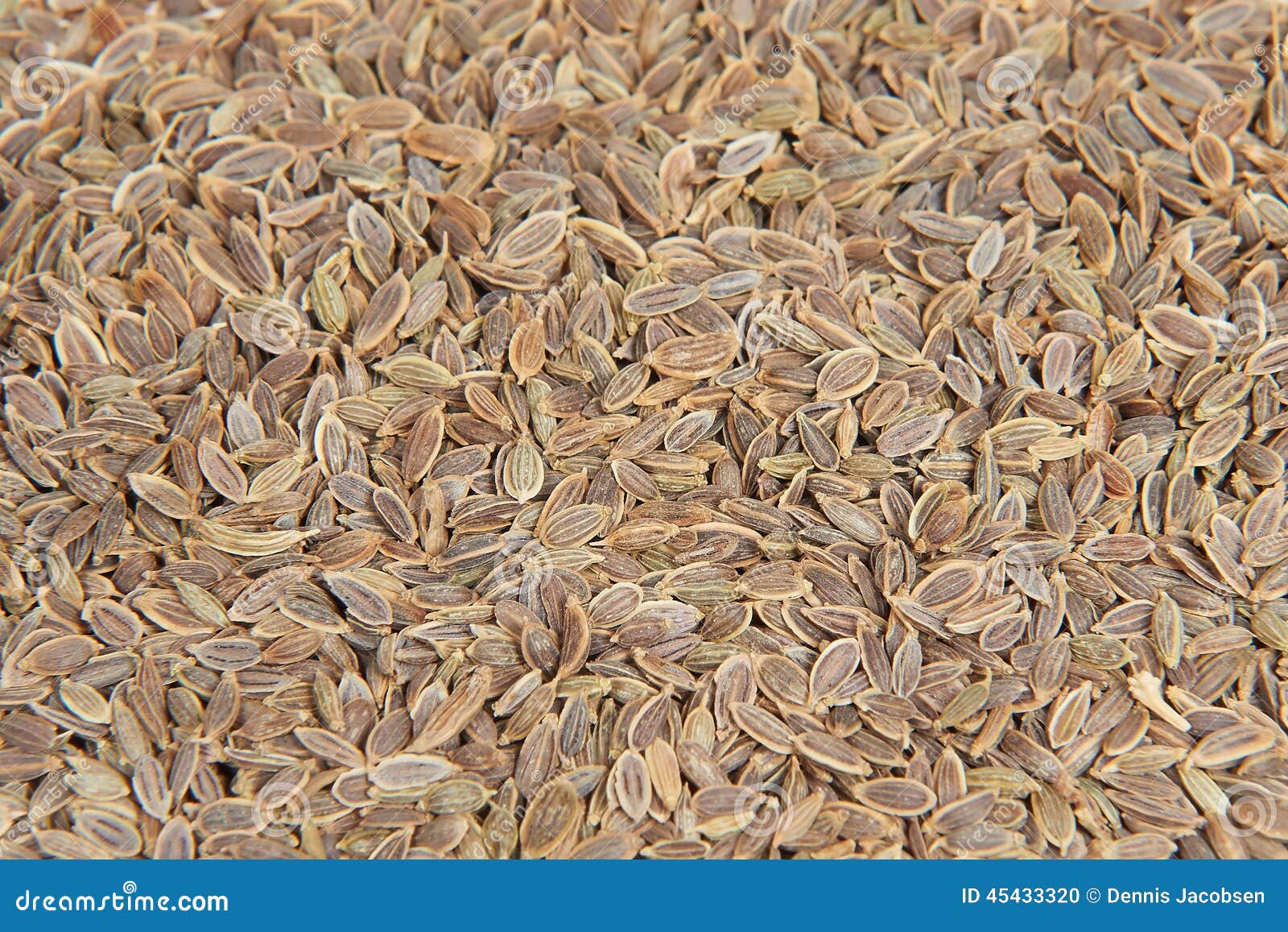 Semi di aneto fotografia stock. Immagine di erba, ingrediente - 45433320