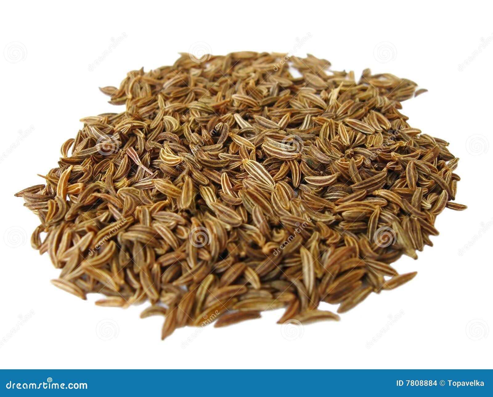 Semi di cumino dei prati fotografia stock. Immagine di chiusura - 7808884