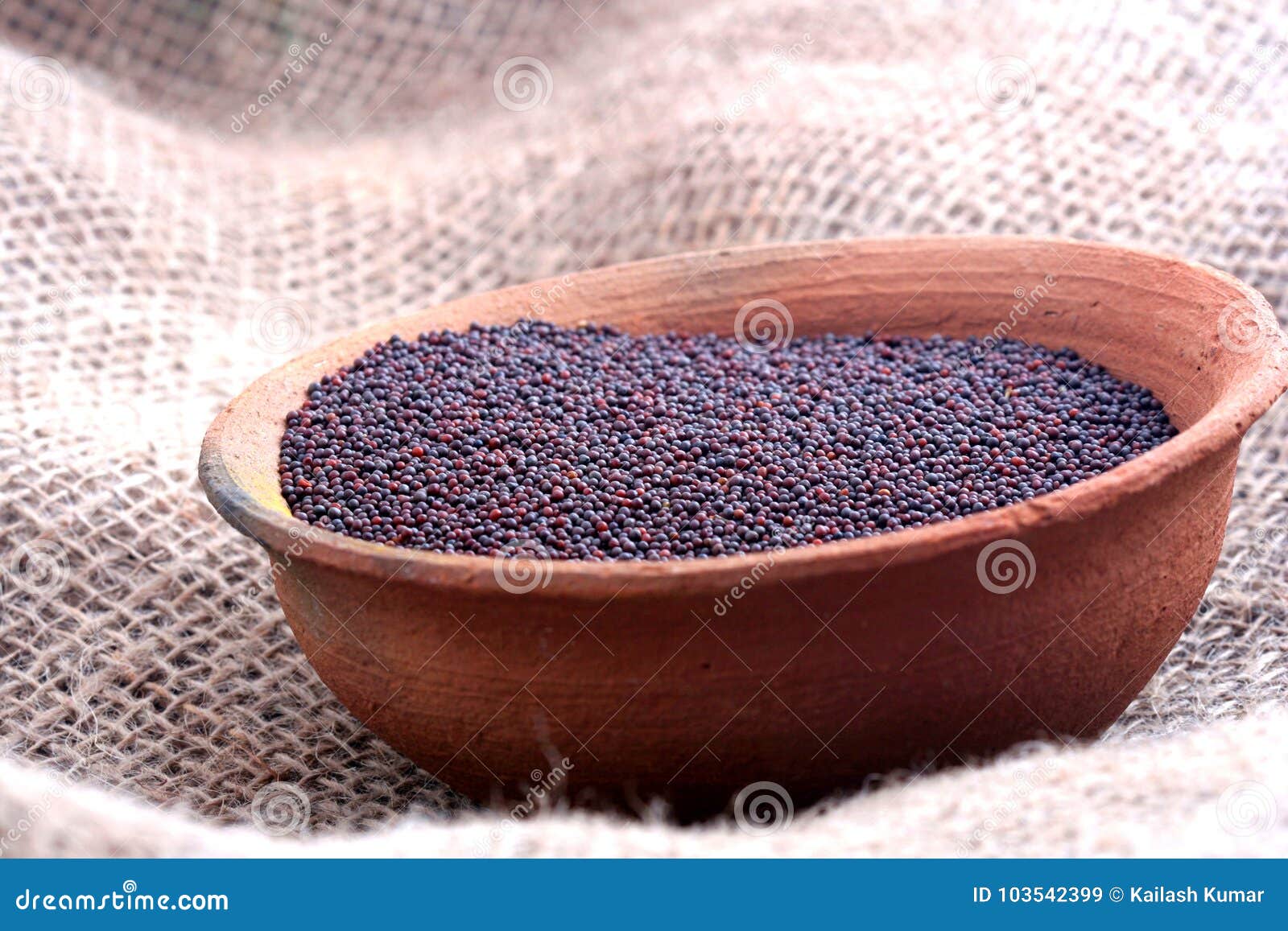 Semi di senape immagine stock. Immagine di chiusura - 103542399