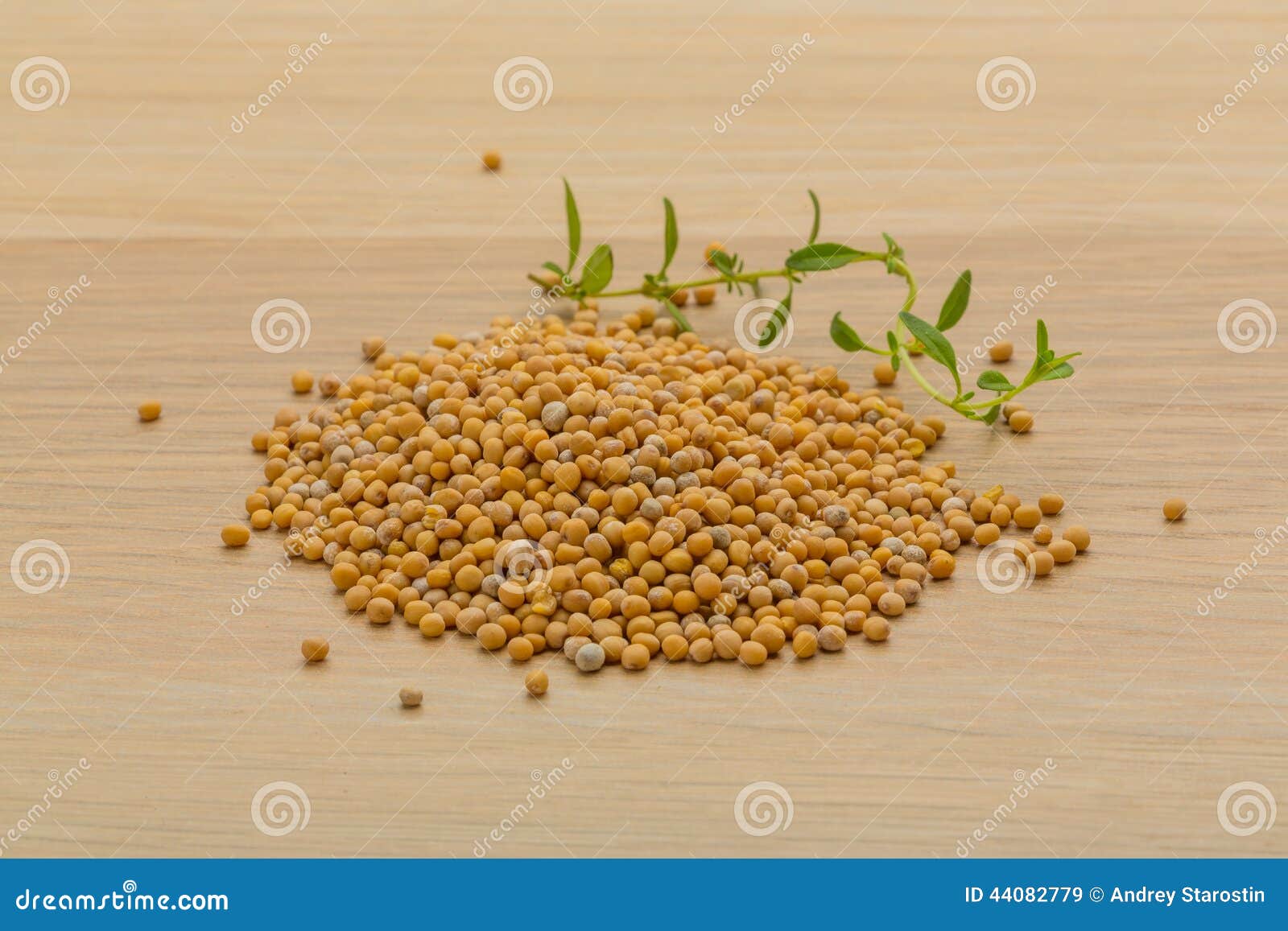 Semi di senape immagine stock. Immagine di senape, mucchio - 44082779