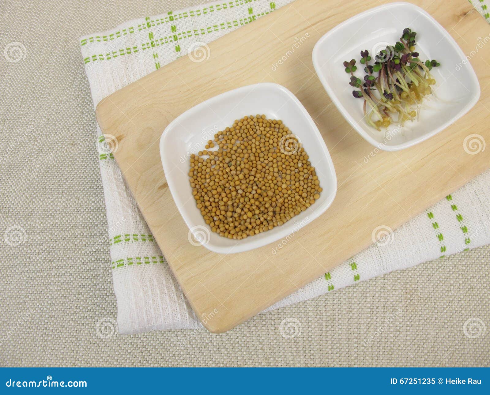 Semi Di Senape E Germogli Gialli Della Senape Immagine Stock - Immagine ...