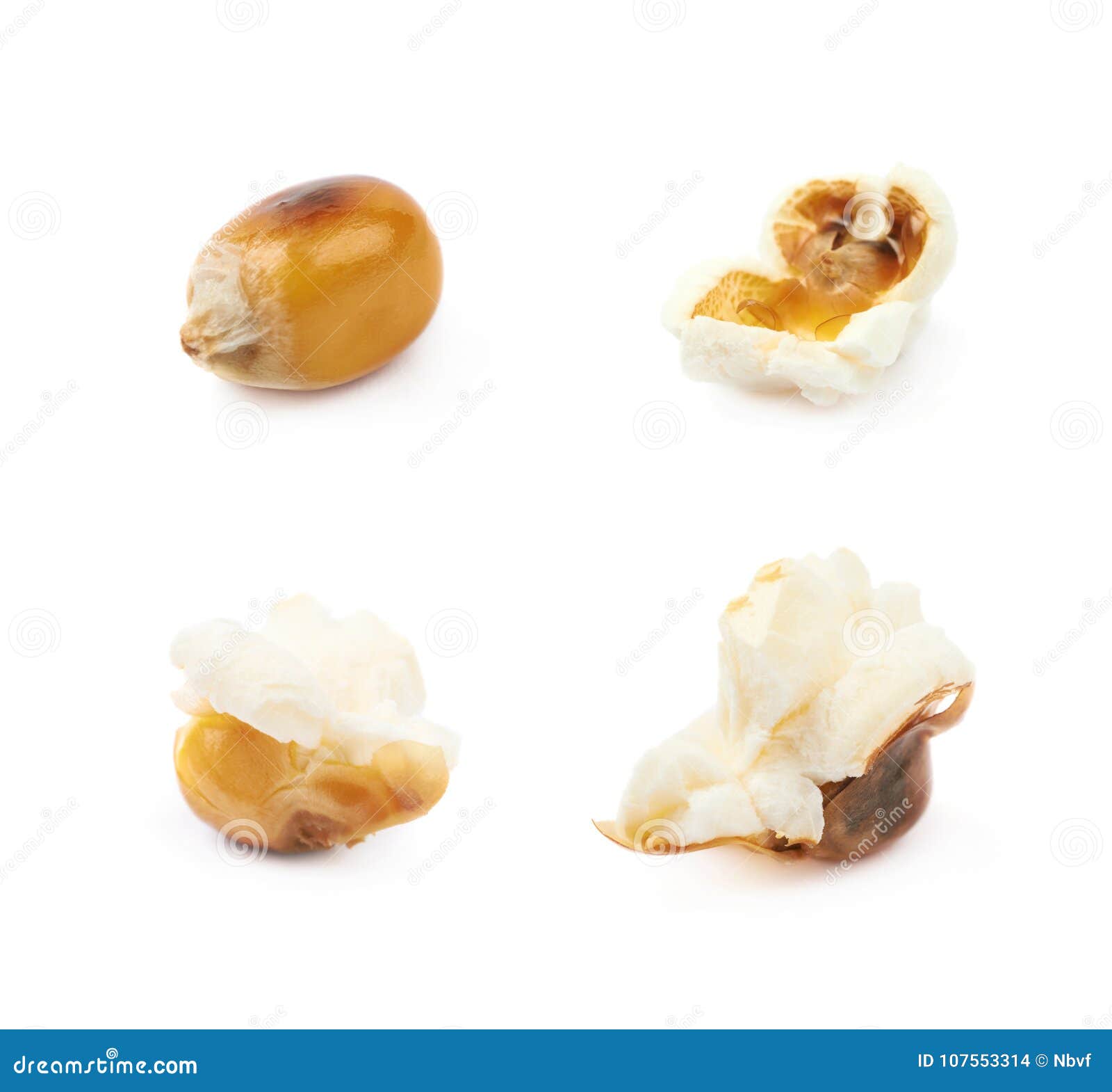 Semi-opened Popcorn Kernel Isolated Stock Photo - Image of movie, shot ...