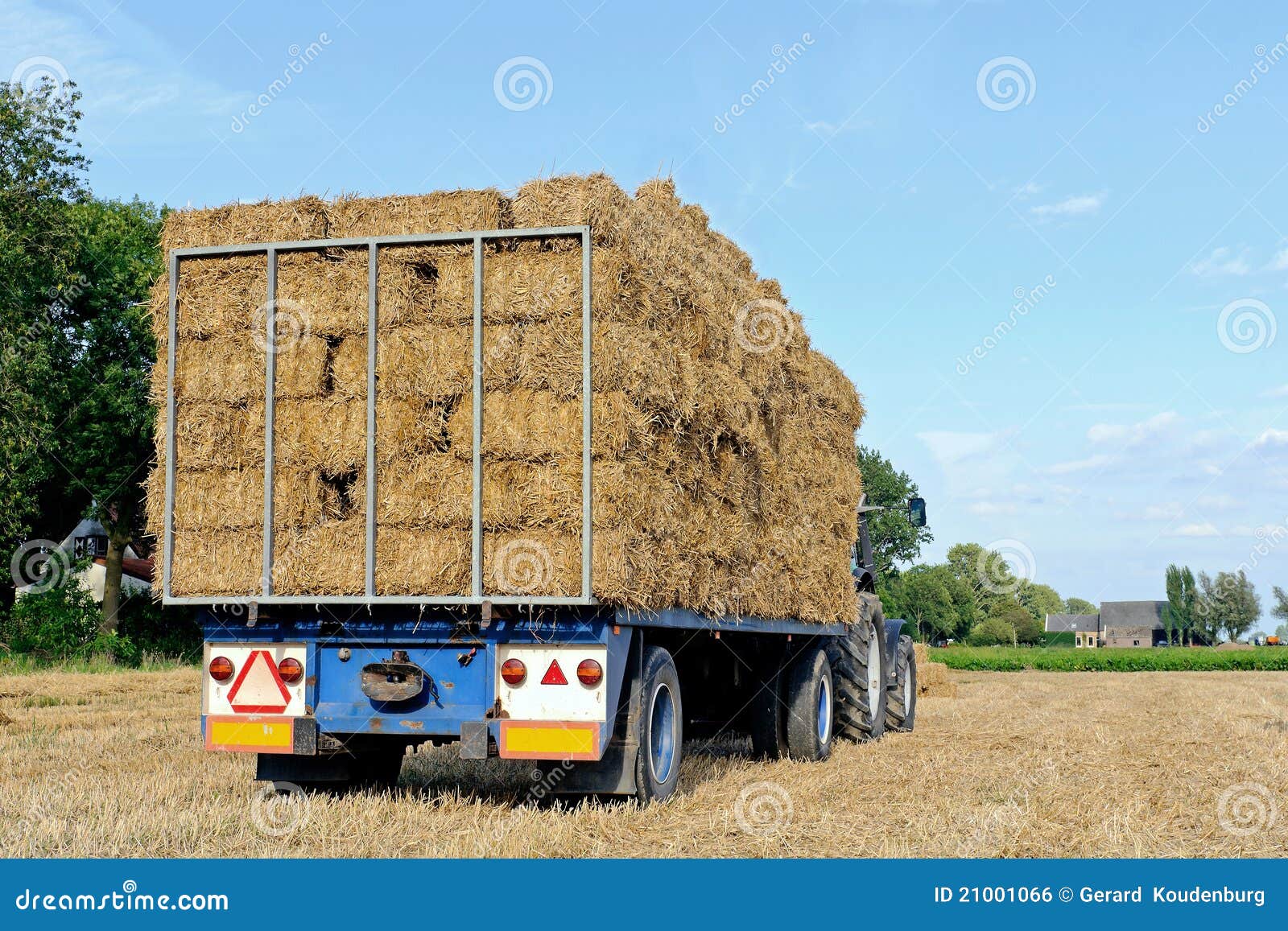 Semi Trailer for Transporting Haystack Stock Photo - Image of green ...