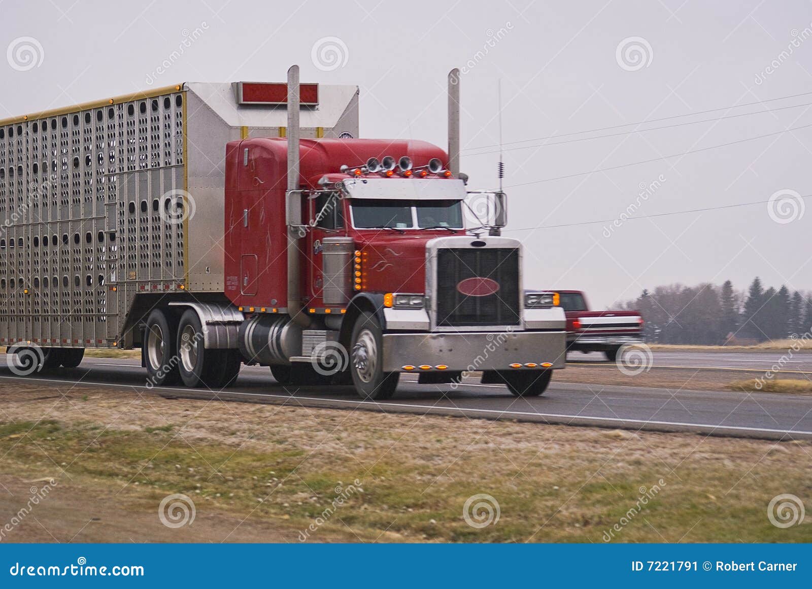 Cattle Pots At Night