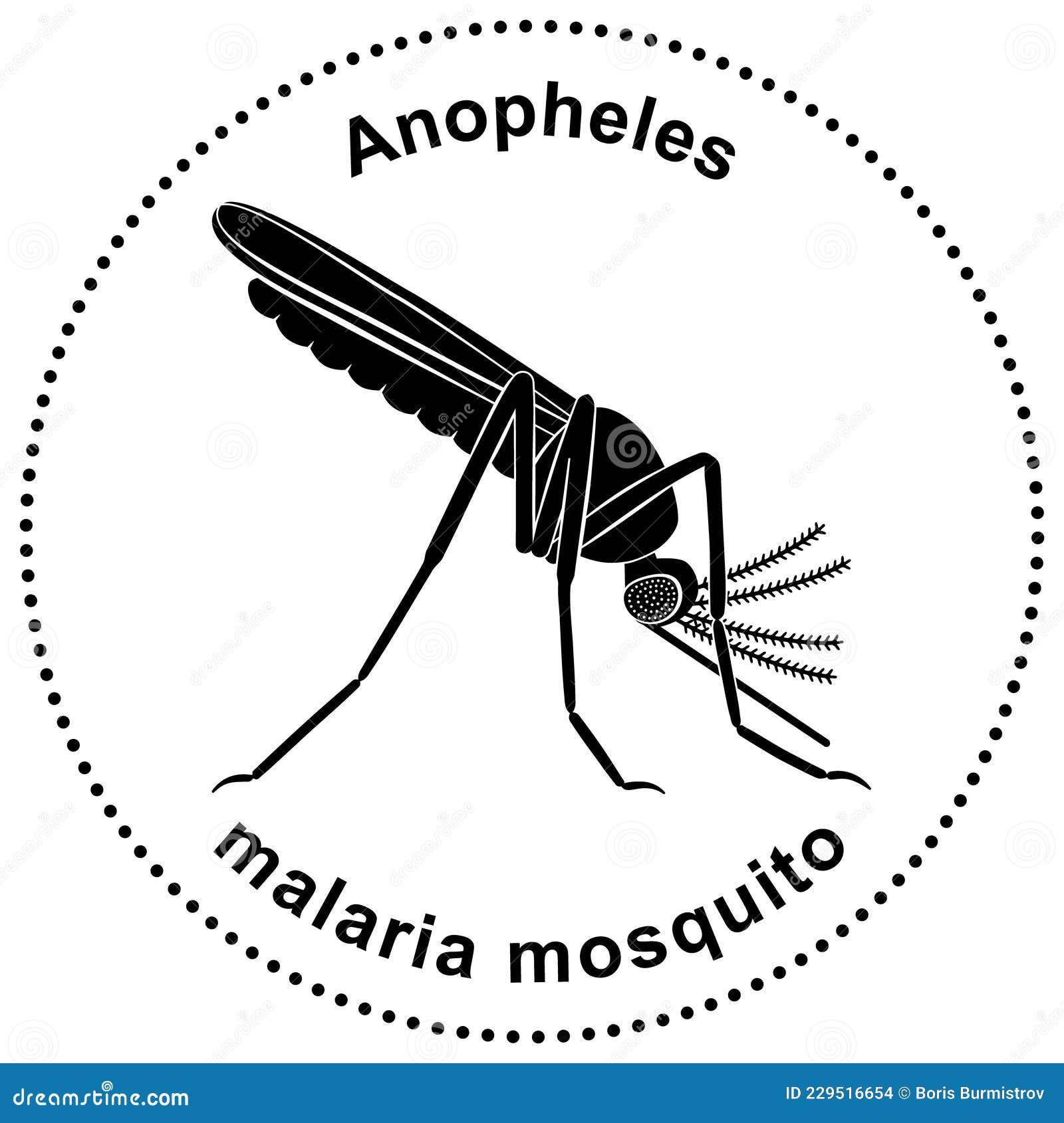 Malaria Mosquito Stop Sign Cartoon Icon | CartoonDealer.com #321260905